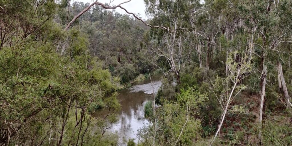 Nomads Outdoors Group - Warrandyte State Park - Victorian Pride Centre